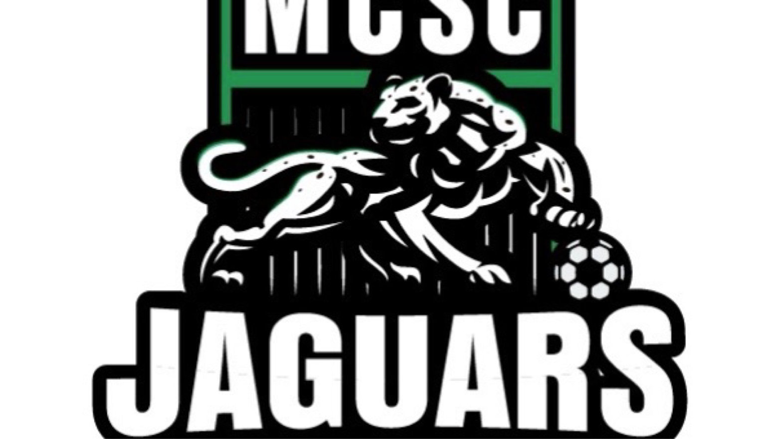 MCSC Jaguars | ENDALGO | Sports & Activities