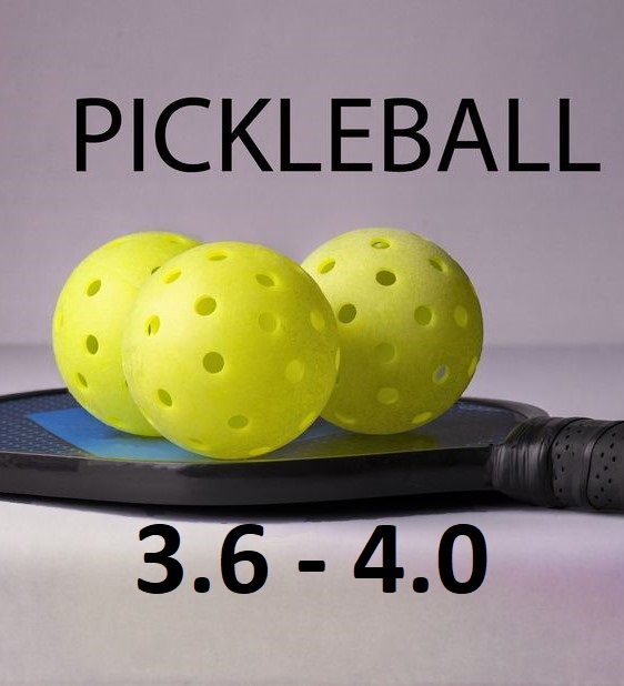 Pickleball Group 3.6-4.0 | ENDALGO | Sports & Activities